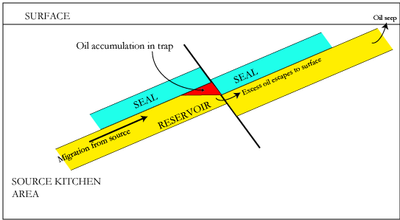 geology: Petroleum geology