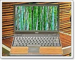 7 Inventos Ecologicos: Computadoras de bambú