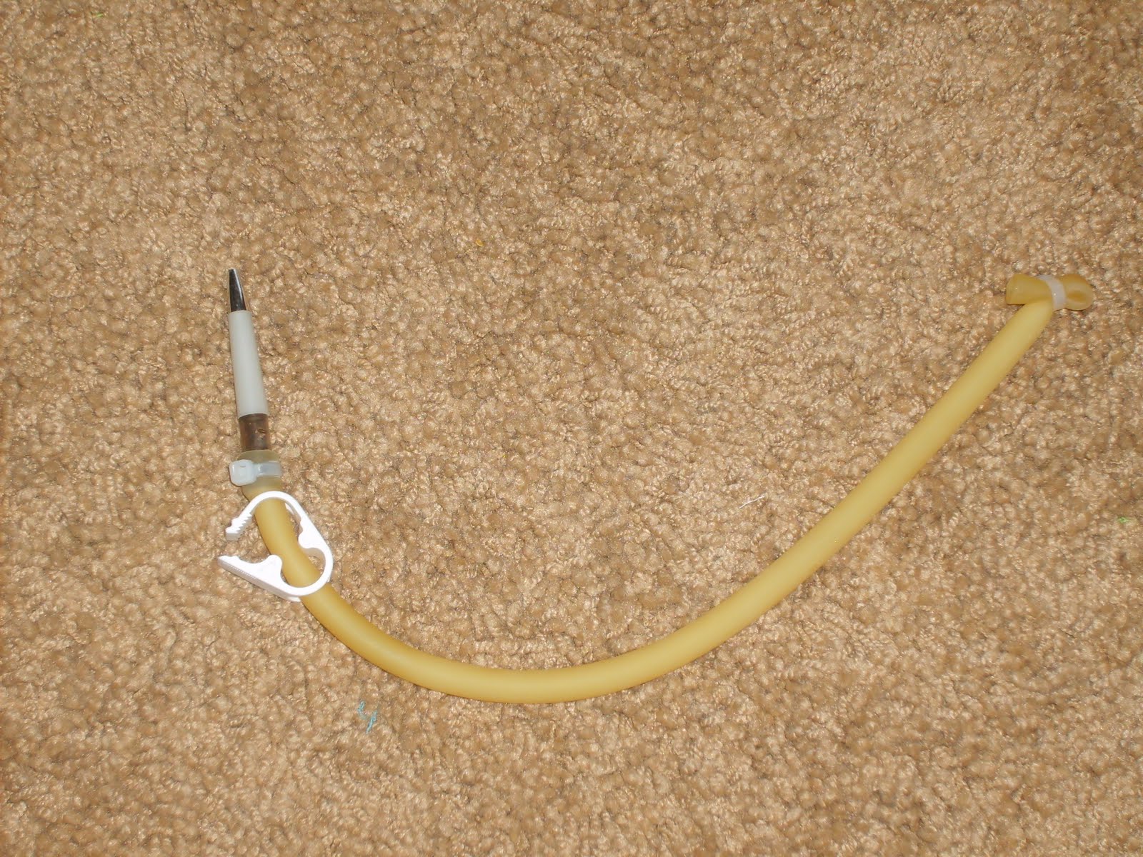 Craft Critters: Summer Fun Birthday Party