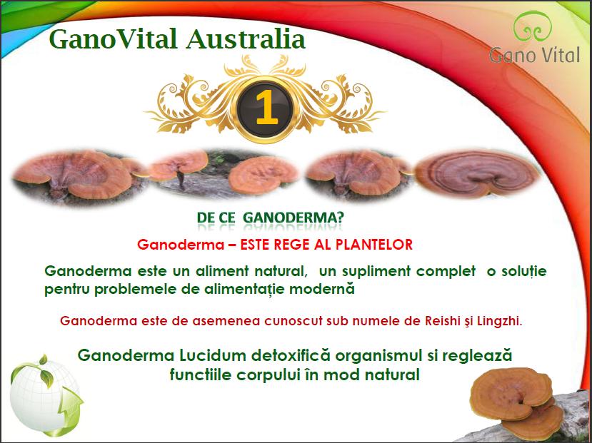 GanoVital singura cafea sanatoasa!: Ganoderma Lucidum