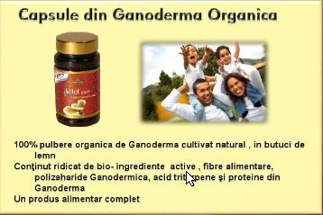 GanoVital singura cafea sanatoasa!: Produse
