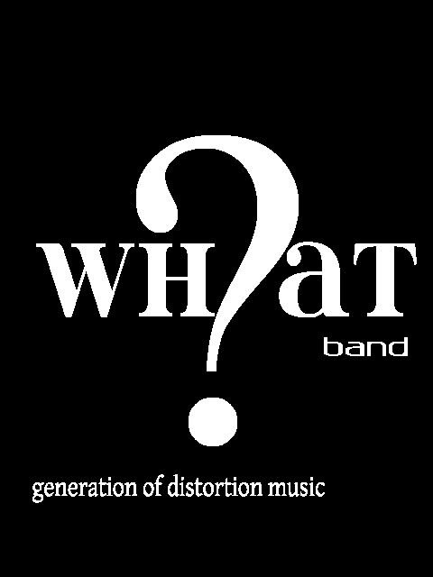 the what band: Januari 2011