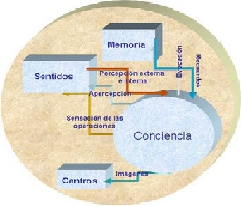 Sensacion, Percepcion y Estados de Conciencia: Estados de conciencia