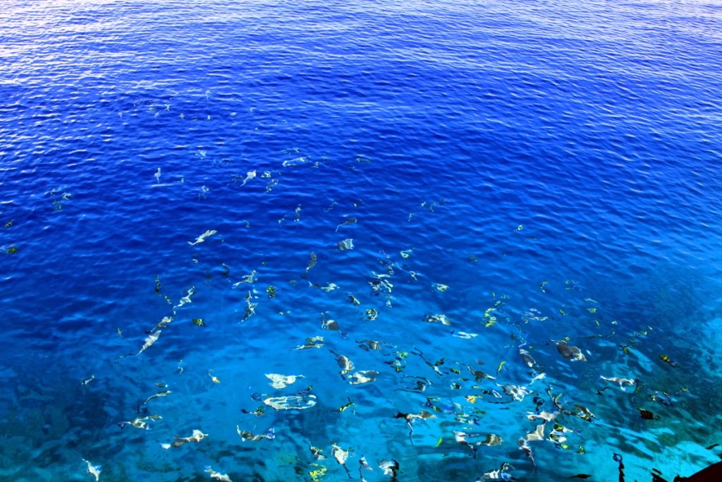 My Photography Passage: Mataking, The Gem of The Celebes Sea