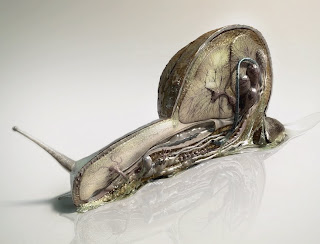 El cuerpo de un caracol consiste en un pié único, una cabeza y una masa ...