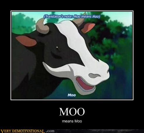 Sober in a Nightclub: Moo means Moo