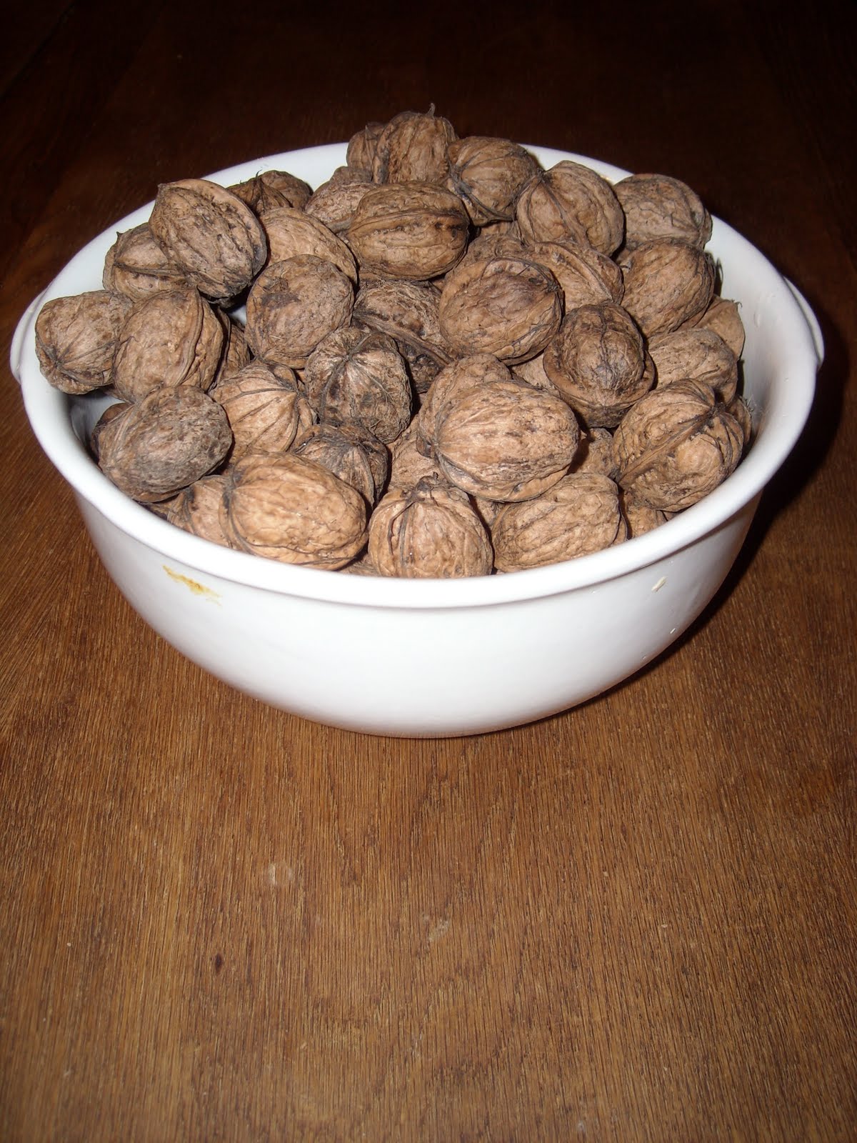 The Fracassi Family goes to France: roasting chestnuts, eating walnuts ...