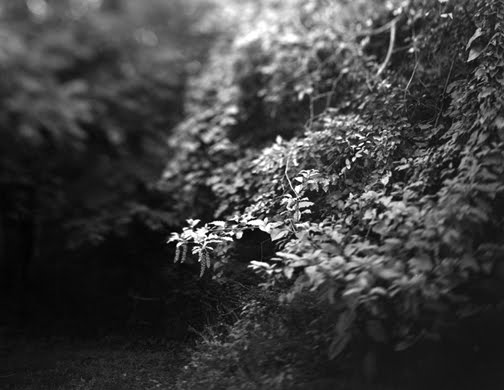 milkwithtea: Michael Barolet