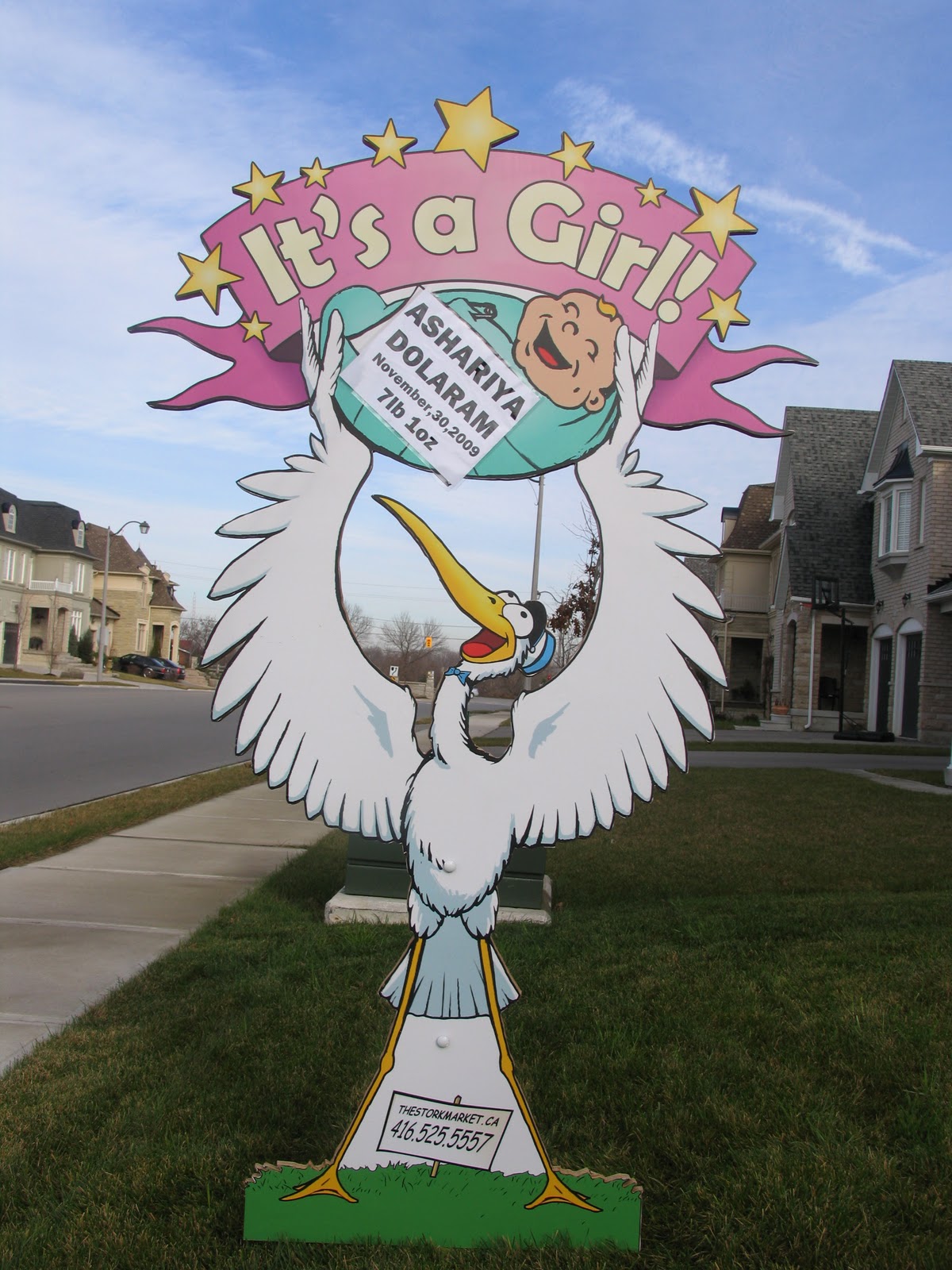 TheStorkMarket: Lawn Stork's Birth Announcements, Stork rental, Baby ...