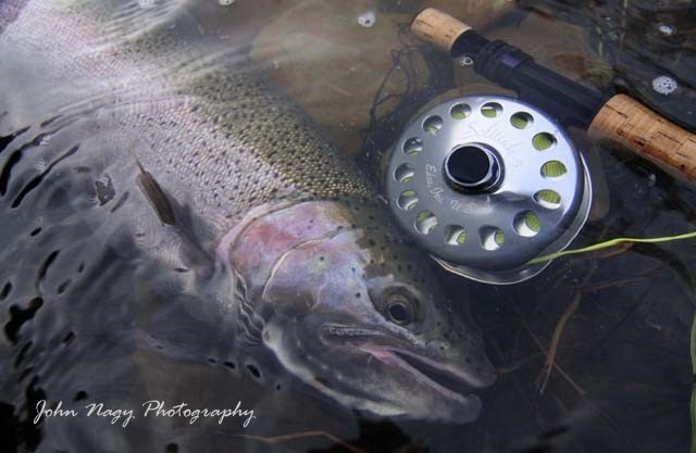 John Nagy's Steelhead Journal: The New Solitude Fly Reel....the "Guides ...
