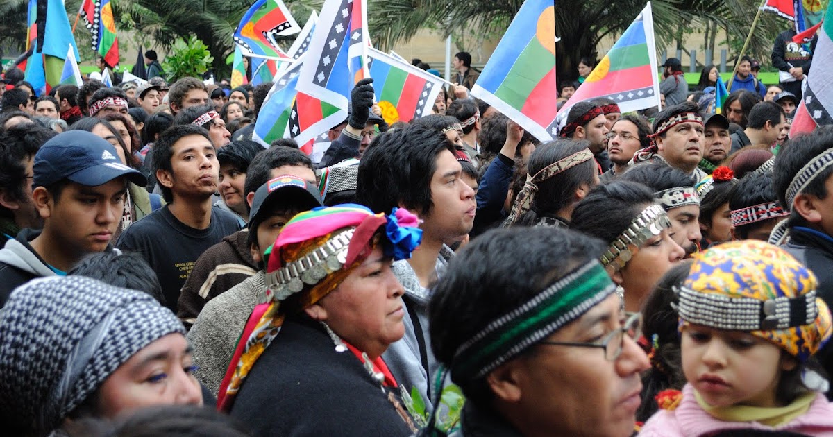 Araucaria: LE RÉVEIL DES MAPUCHES