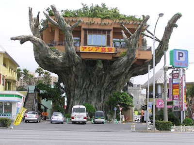 Weird Cool Things: Bizarre Tree houses