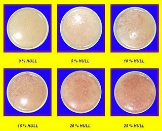 Central Unggas Lampung: Dedak Padi dan Cara Menilainya