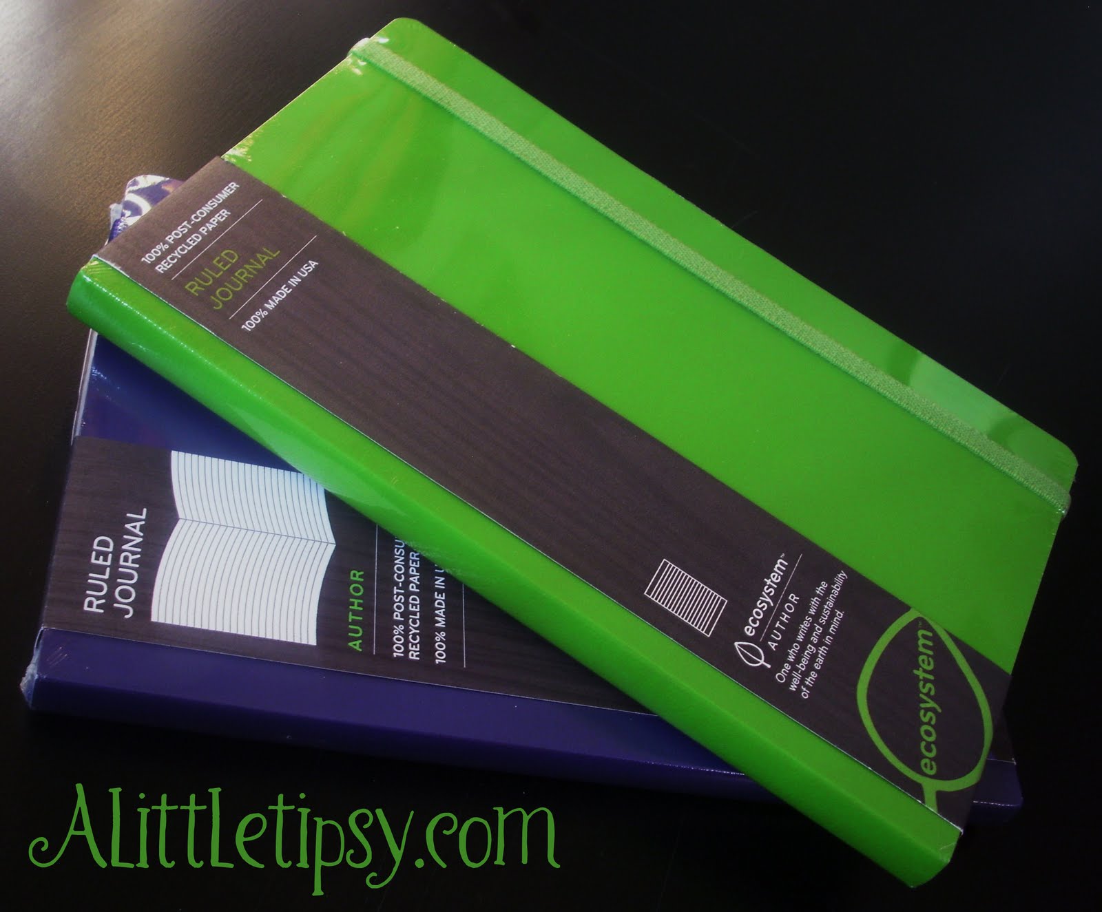 Ecosystem Recycled Notebook Review & Giveaway - A Little Tipsy