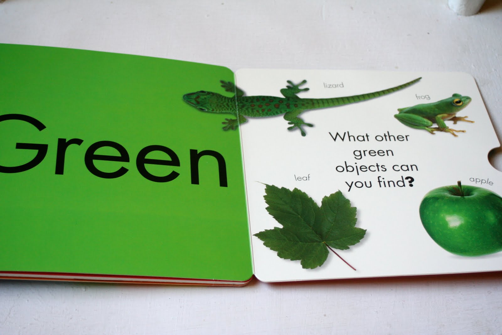 Little Page Turners: MYO (Free!) Color Book