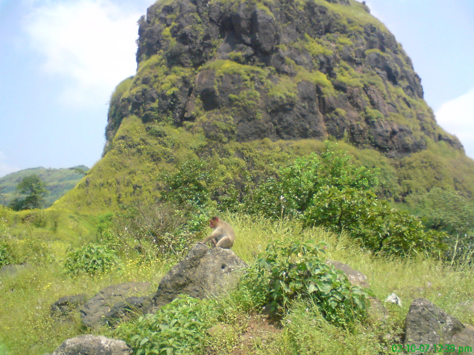 Sahyadri Mountain-Ghat Photos: Varandha Ghat 2
