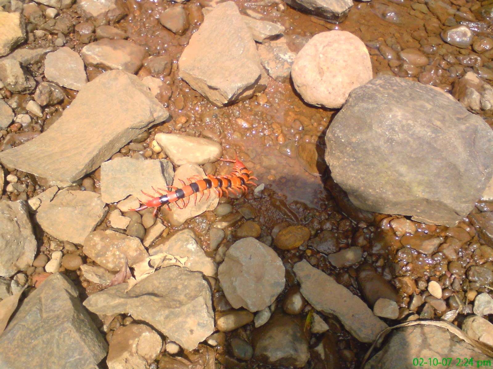 Sahyadri Mountain-Ghat Photos: Varandha Ghat 3