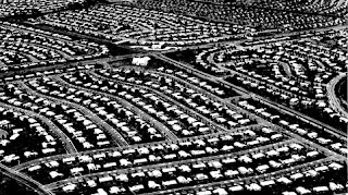 History 106: Levittown, Long Island (1950s)