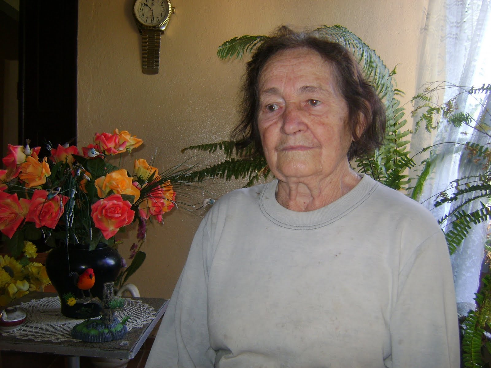 Um lugar no Vale.: PICADA FLOR - MARQUES DE SOUZA