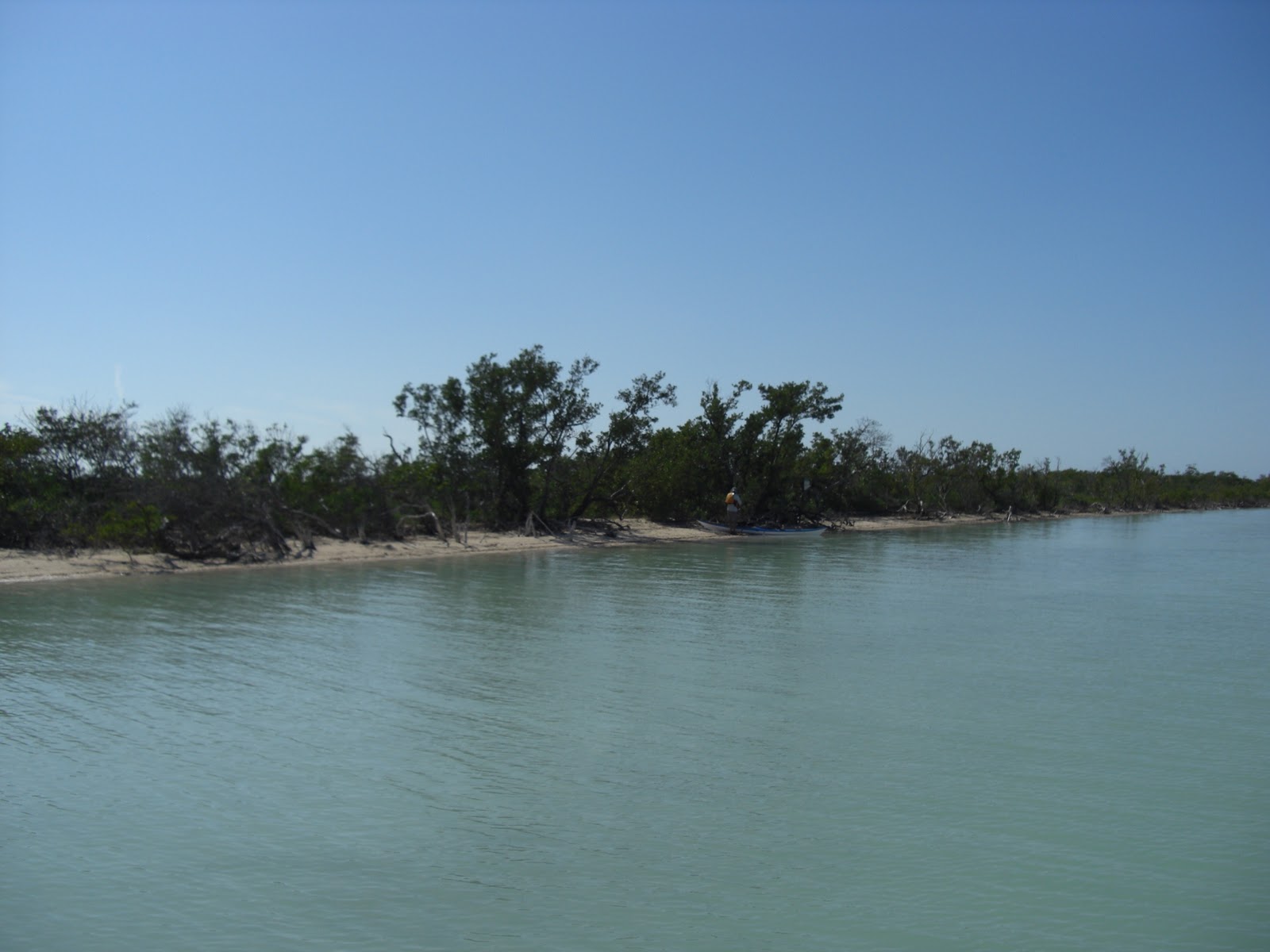 MY LIFE IN THE FLORIDA KEYS AND BEYOND: Nest Key