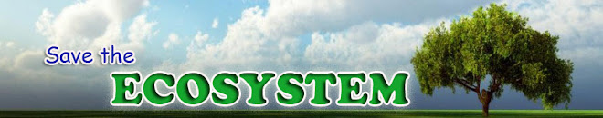 Save the Ecosystem