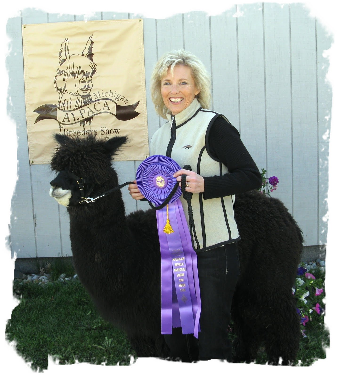 Alpaca Granny - The everyday life of a retired teacher turned alpaca ...