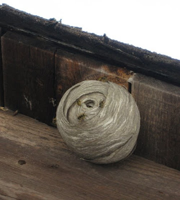 Natural History of Raleigh Photos: PFI tours the Brevard fault