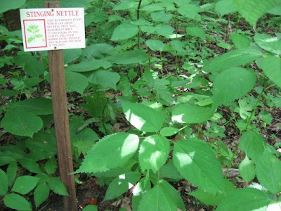 Natural History of Raleigh Photos: PFI tours the Brevard fault