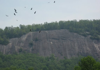 Natural History of Raleigh Photos: PFI tours the Brevard fault