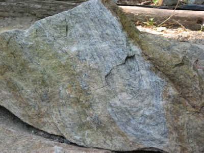 Natural History of Raleigh Photos: PFI tours the Brevard fault