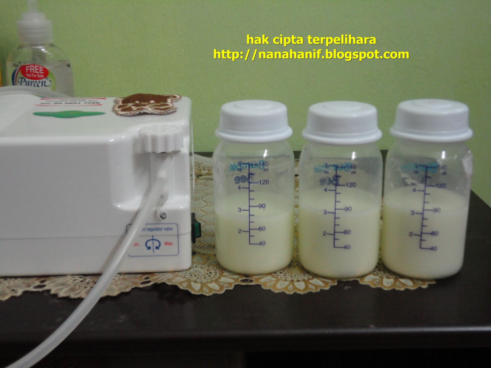 Susu Ibu Terbaik Untuk Anak Kita!!: Pam Susu mana yang sesuai???????