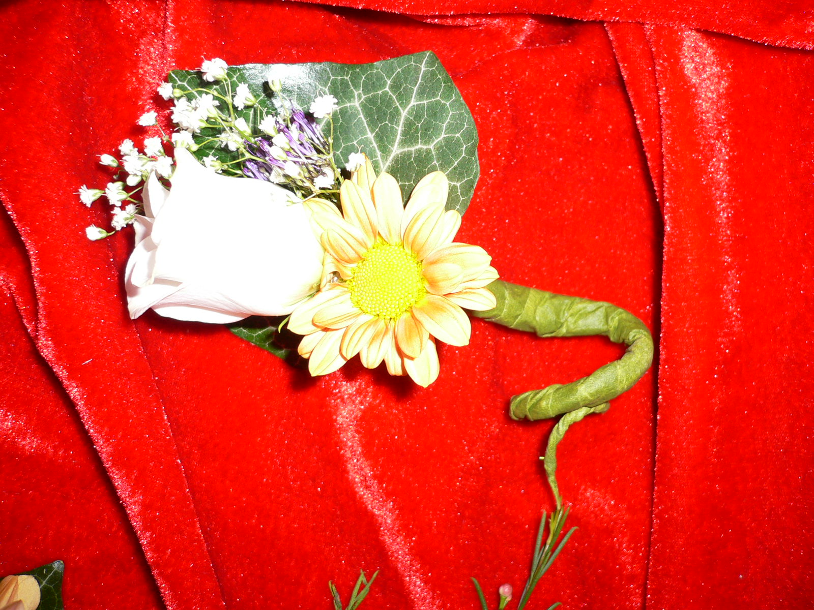 Floraria FLORIS DECO -SLATINA: Cocarde rustice nunta