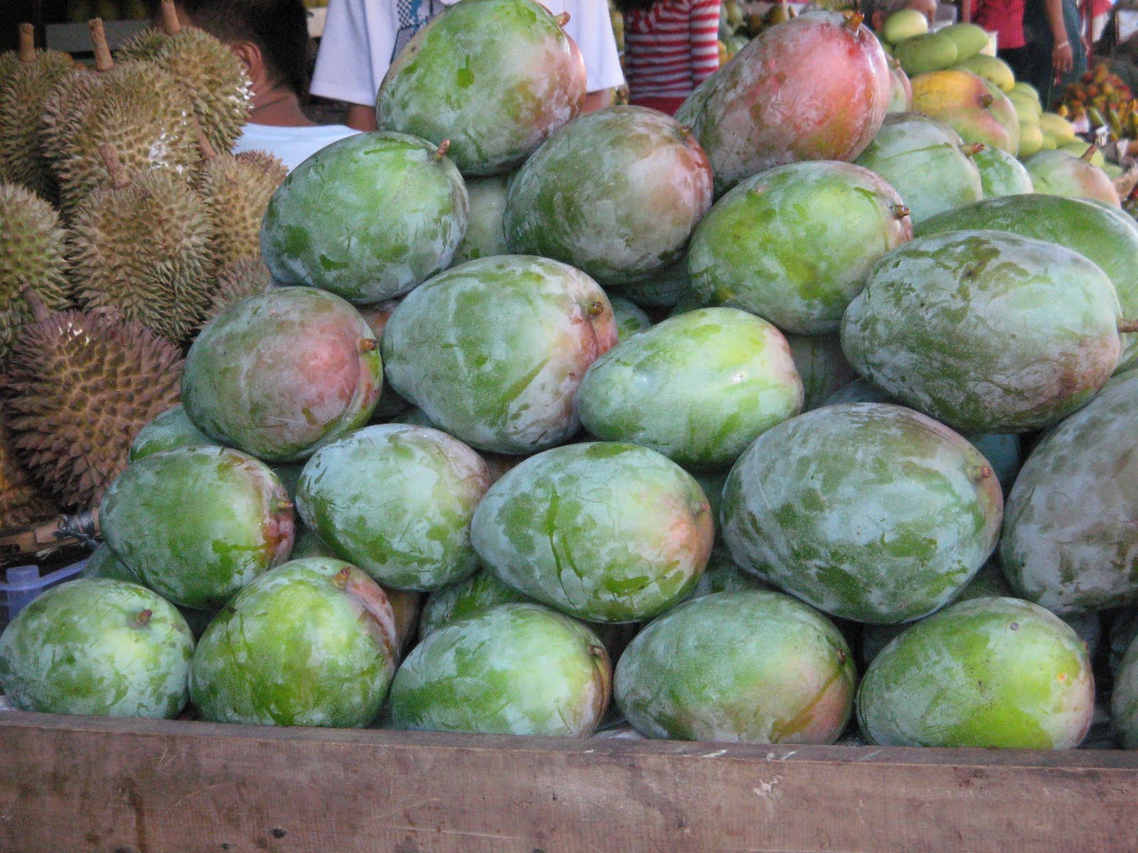 bucaio: Davao is Not Just Durian