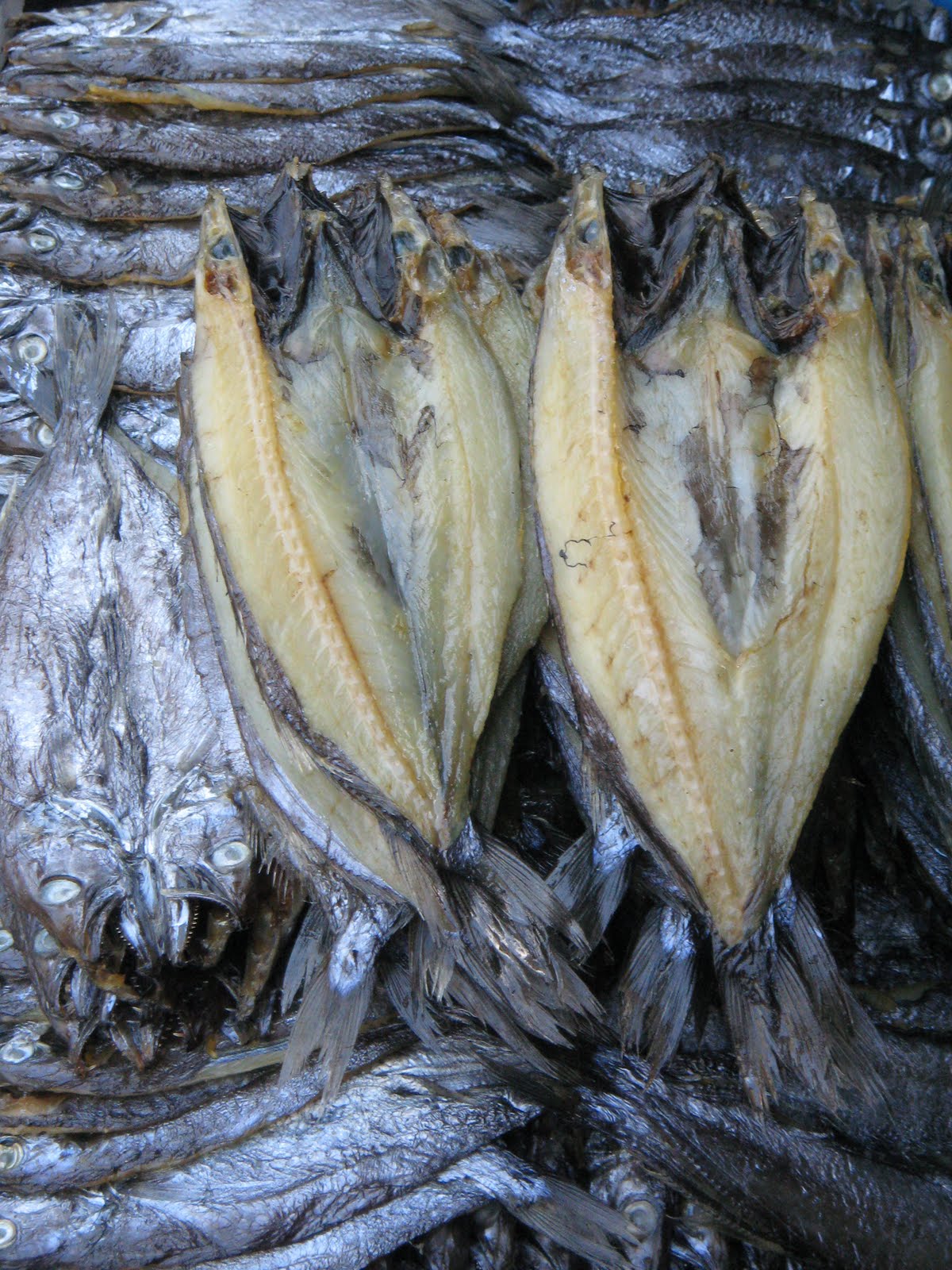 bucaio: September 2010