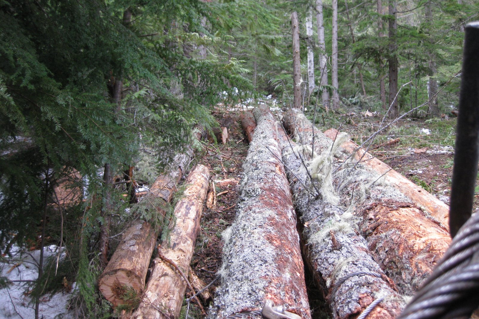 Salvage wood for housing, dead standing douglas fir, New Denver BC milling
