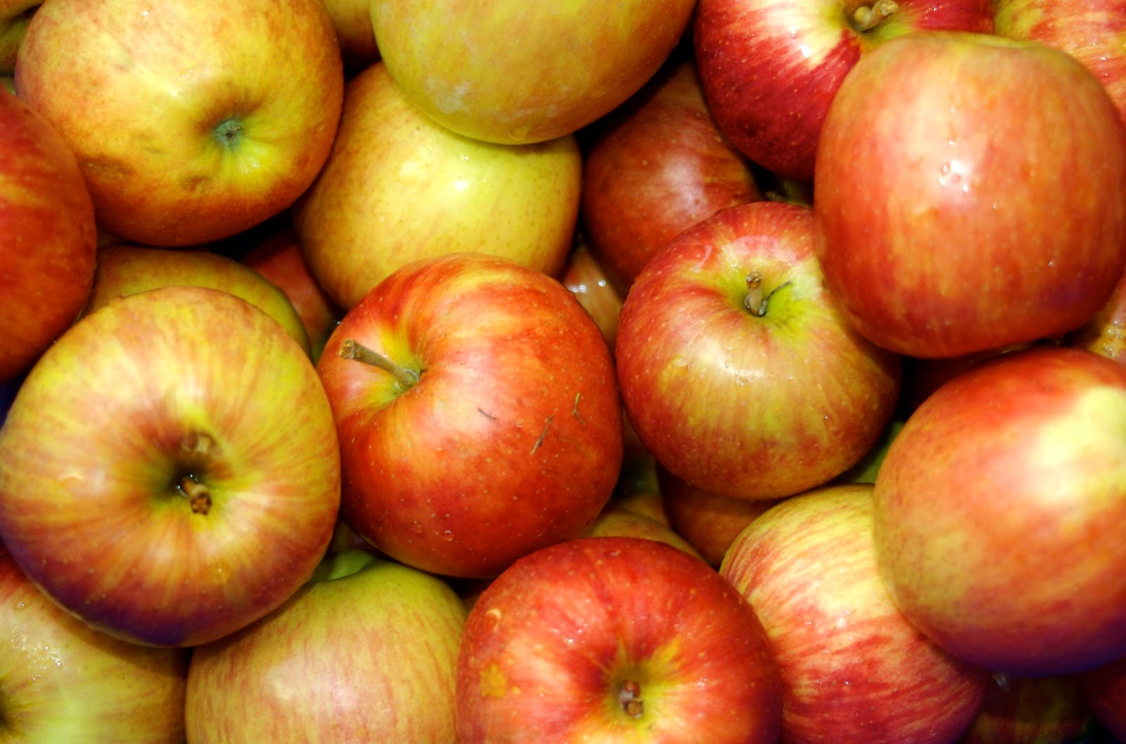 Why September is UH-mazing: Reason Number 9 - Apple Season
