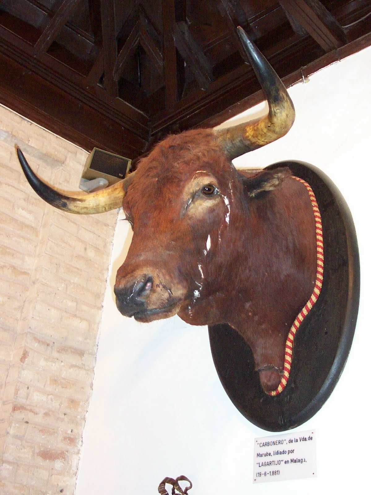 LOS TOROS CON AGUSTÍN HERVÁS.: MUSEO TAURINO DE CORDOBA. Fotos de ...