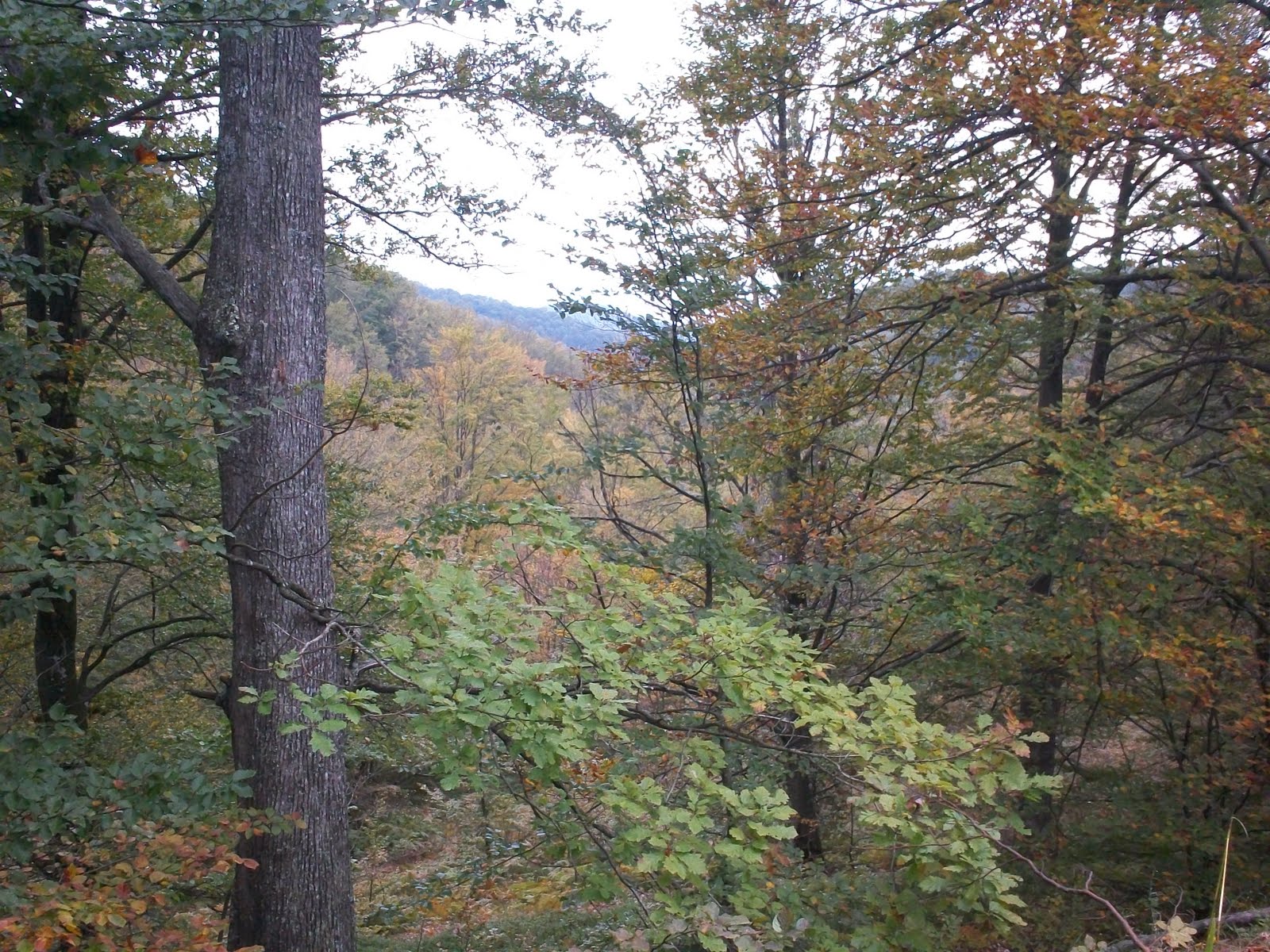 Claudiu MOGA -blog de aventuri cicloturistice: Traversarea Muntilor ...