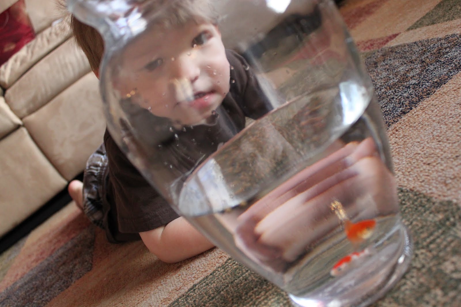 Just Me: Potty Training = Gold Fish