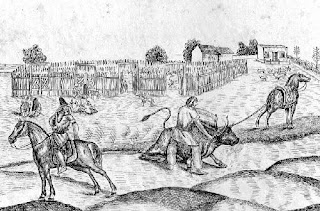 Tras las Huellas de la Vaca: SALADEROS