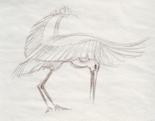 Don Boone's Portfolio Page: Stork Sketches: References For Design Project