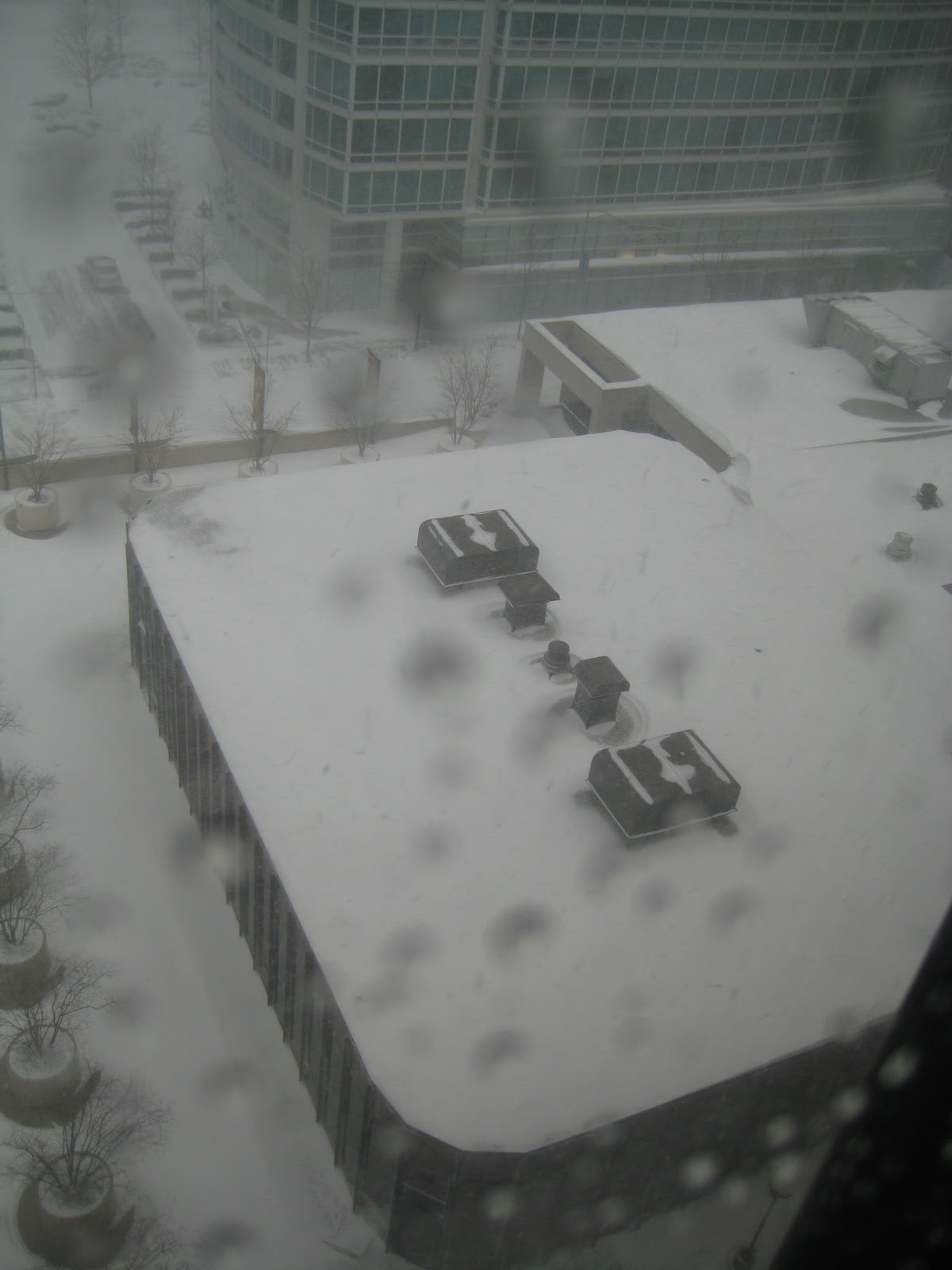 chicago snowmageddon | city lights