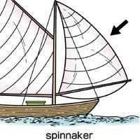 がんの分子腫瘍学・遺伝学: spinnaker-sail sign：最新のNEJMのイメージ
