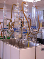 laboratorio de alimentos: DETERMINACION DE LIPIDOS (EXTRACTO ETEREO)