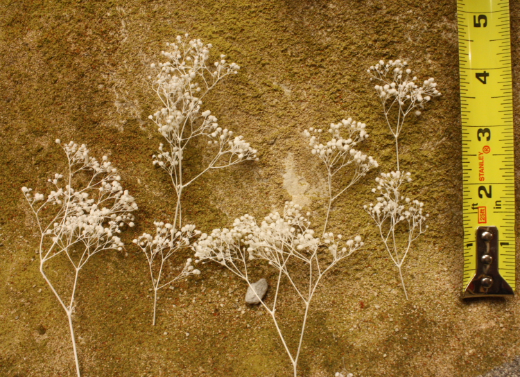 N Scale Addiction: How to Make Aspen Trees