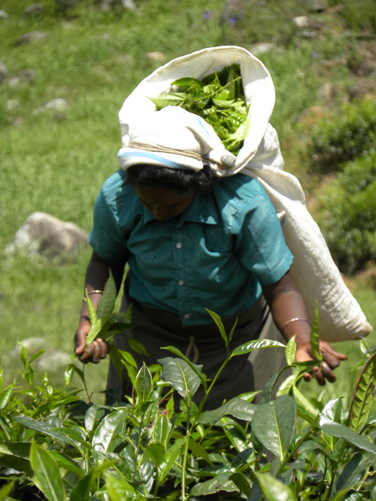 Jules Sri Lanka 2010-12: Following in Buddha's Footprint