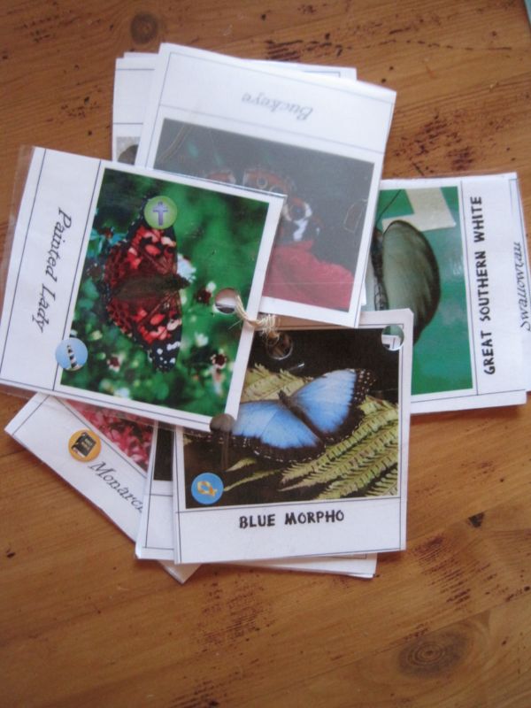 Kinder Days....: Summer Fun Trunk Keepers