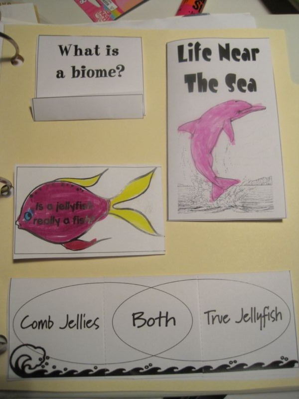 Kinder Days....: Night of the Moonjellies FIAR Study