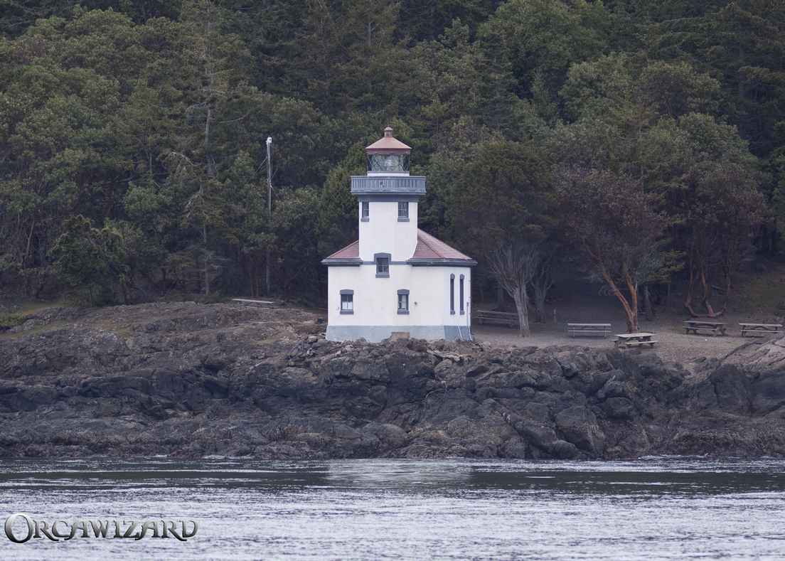 Prince of Whales blog: Ocean Magic Wildlife Adventure May 1