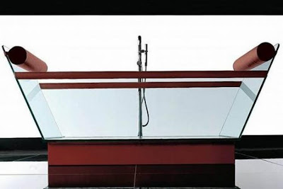 All The Fun Facts....: Unusual bathtub designs